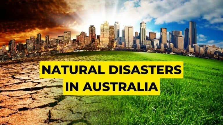 What Are Australia's Top Five Costliest Natural Disasters?