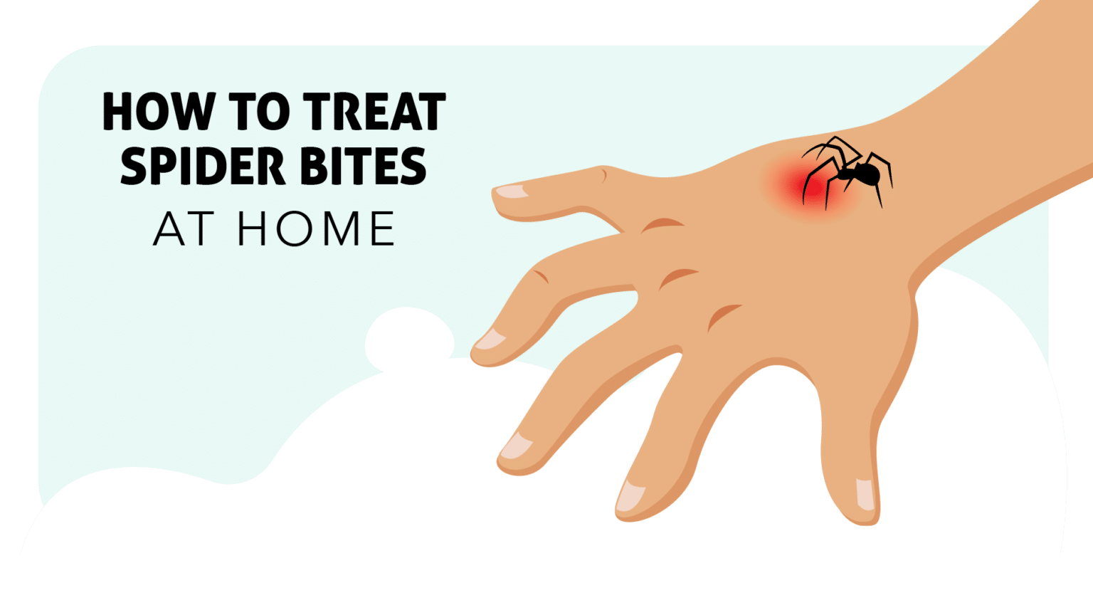 Australian Spider Bite & Bite First Aid Guide – Identification ...